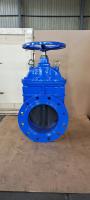 China DIN Cast Iron Soft Seat Gate Valve PN16 Non Rising Stem DN50-DN800 for sale