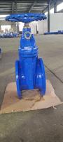 China OEM Flanged Soft Seat Gate Valve DN50-DN800 PN10/PN16 Ductile Iron for sale