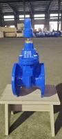 China Soft Seat Resilient Seated Gate Valve 80mm DN80 PN16 Flanged Ductile Iron for sale