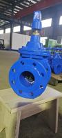 China Soft Seat Resilient Seated Gate Valve 80mm DN80 PN16 Flanged Ductile Iron for sale