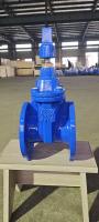 China Soft Seat Resilient Seated Gate Valve 80mm DN80 PN16 Flanged Ductile Iron for sale