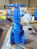 China Cast Iron DN150 Flanged Metal Seat Gate Valve PN16 for Water Line for sale