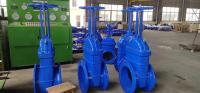China Flanged F4 Gate Valve Soft Resilient Seated Brass Nut Type for sale