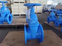 China BS5163 Ductile Iron Resilient Seated Gate Valve DN50-DN600 PN10/PN16 for sale