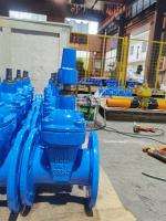 China F4 Flanged Resilient Gate Valve DN50-DN800 Cast Iron Ductile Iron CE ISO for sale