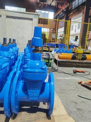 China F4 Flanged Resilient Gate Valve DN50-DN800 Cast Iron Ductile Iron CE ISO for sale