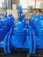 China Flanged Cast Iron BS5163 Gate Valve DN50-DN600 PN10-PN25 for Sewage for sale