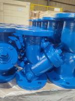 China Cast Iron Y Strainer Valve DN50-DN300 SS304 SS316 Flanged for Water Steam Oil for sale