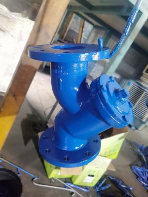 China Flanged Y Strainer Valve DN50-DN300 Cast Iron Ductile Iron Water Steam Oil for sale