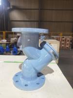 China Y Strainer Valve Cast Iron Ductile Iron SS304 SS316 Screen DN50 DN300 PN10 PN16 for sale
