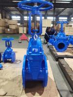 China GGG40 GGG50 Ductile Iron Flanged Soft Seat Gate Valve DN50-DN800 Rising Stem for sale