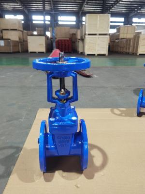 China Soft Seat Gate Valve DN50-DN800 Ductile Iron PN10 PN16 Flanged for sale