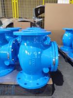 China Cast Iron Swing Check Valve DN50-DN300 BS5153 Flange Type PN10-PN16 for sale