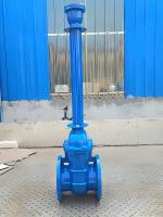 China Ductile Iron Soft Seat Gate Valve DN50-DN800 PN10/PN16 Flanged Class A Leakage for sale
