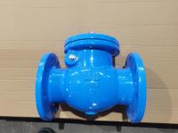 China Cast Iron Swing Check Valve DN50-DN300 PN10-PN16 for Water Steam Oil Gas for sale