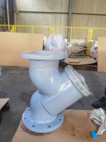 China DN50-DN300 Flanged Y Strainer Valve Cast Iron Ductile Iron PN10 PN16 150LB for sale