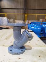 China Cast Iron Y Strainer Valve DN50-DN300 Flanged SS304 Screen for Water Steam Oil for sale