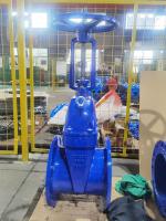 China Soft Seat Gate Valve DN50-DN800 PN10/PN16 Ductile Iron Flanged for sale