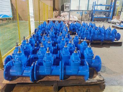 China PN10 PN16 F5 Cast Iron Gate Valve Handwheel DN50 to DN600 Flanged for sale