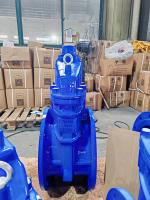 China DN50-DN800 Ductile Iron Soft Seat Gate Valve PN10/PN16 Flanged Non-Rising Stem for sale