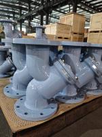 China Flanged Y Strainer Cast Iron Ductile Iron PN10 PN16 DN50 DN300 SS304 SS316 for sale