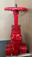 China DN50-DN300 ANSI Rising Stem Soft Seat Groove Gate Valve Ductile Iron Epoxy Coated for sale