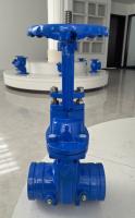 China DN50-DN300 ANSI Rising Stem Soft Seat Groove Gate Valve Ductile Iron Epoxy Coated for sale