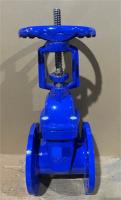 China DIN3352 F4 Resilient Soft Seat Rising Stem Gate Valve PN10 PN16 Flanged for sale