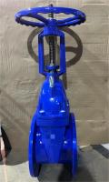 China DIN3352 F4 Resilient Soft Seat Rising Stem Gate Valve PN10 PN16 Flanged for sale