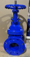 China DIN3352 F4 Resilient Soft Seat Rising Stem Gate Valve PN10 PN16 Flanged for sale