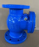 China Cast Iron Swing Check Valve DIN3302-F6 PN10/16 DN50-DN300 for Water for sale