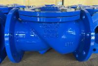 China Cast Iron Rubber Seat Check Valve BS5153 DN50-DN300 PN10-PN16 Swing Non Return for sale