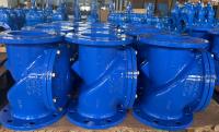 China Cast Iron Rubber Seat Check Valve BS5153 DN50-DN300 PN10-PN16 Swing Non Return for sale