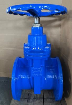 China Durable  BS5163 Non-rising Stem Soft Seal Gate Valve for sale