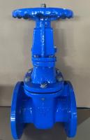 China ANSI Flanged Metal Seat Gate Valve DN50-DN300 Cast Iron Rising Stem for sale