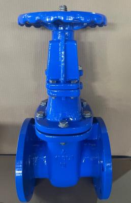 China ANSI Flanged Metal Seat Gate Valve DN50-DN300 Cast Iron Rising Stem for sale