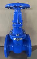 China ANSI Flanged Metal Seat Gate Valve DN50-DN300 Cast Iron Rising Stem for sale
