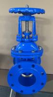China ANSI Flanged Metal Seat Gate Valve DN50-DN300 Cast Iron Rising Stem for sale