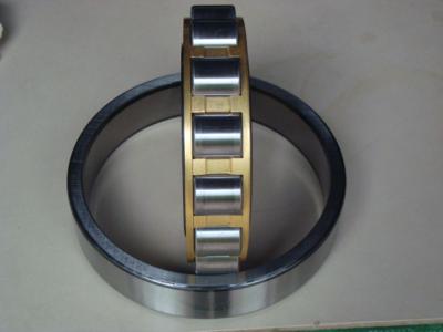 China SL045019PP INA BEARINGS for sale