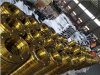 China PN16 Carbon Steel Forged Flange DN10-DN2000 Anti Rust Oil Pipe Fittings for sale