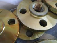China Carbon Steel C22.8 Threaded Flange EN1092-1 DIN PN16-PN63 Type13 1/2-24 Inch for sale