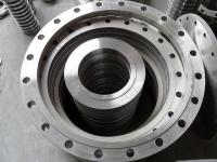 China EN1092-1 Forged Flange PN6-PN160 Carbon Steel Stainless Steel DN10-DN2000 for sale