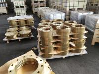 China DIN2527 Blind Flange Carbon Steel PN6 to PN100 DN15 to DN3000 Forged for sale
