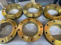 China BS4504 PN10 PN16 Forged Steel Flanges DN10-DN2000 Plate Blind Weld Neck Slip On for sale