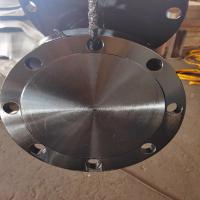 China AWWA C207-07 Class B D Ring Blind Flange A105N F304 304L F316 316L 1/2-144 Inch for sale