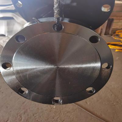 China AWWA C207-07 Class B D Ring Blind Flange A105N F304 304L F316 316L 1/2-144 Inch for sale