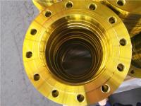 China Hot Forging Steel Flange BS4504 BS10 PN16 SORF Blind Weld Neck Slip On DN10-DN2000 for sale