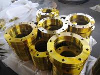 China JIS B2220 Forged Steel Flange SS400 SUS304 SUS316 Slip On Blind 10K 16K for sale