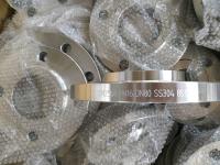 China DIN EN 1092-1 PN6 Forged Stainless Steel Plate Flange DN10-DN4000 Type 01 for sale