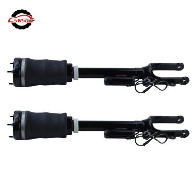 China Pair Airmatic Front Shock Absorber 2513203013 for Mercedes W251 R Class 2006-2010 for sale